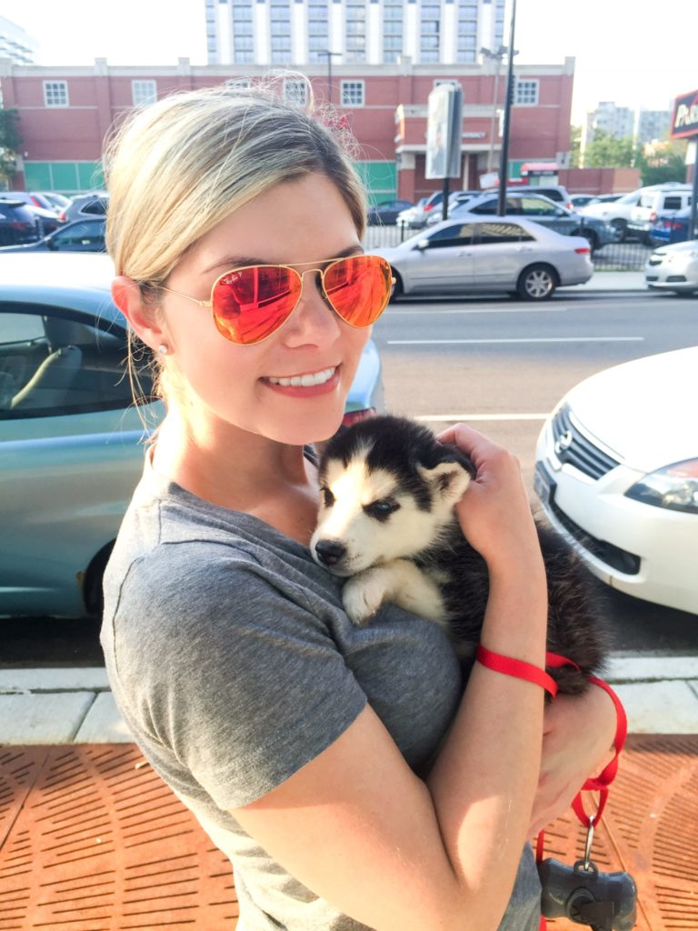 Addie’s Dog DNA Results Are In!!!!! - Cashmere & Jeans
